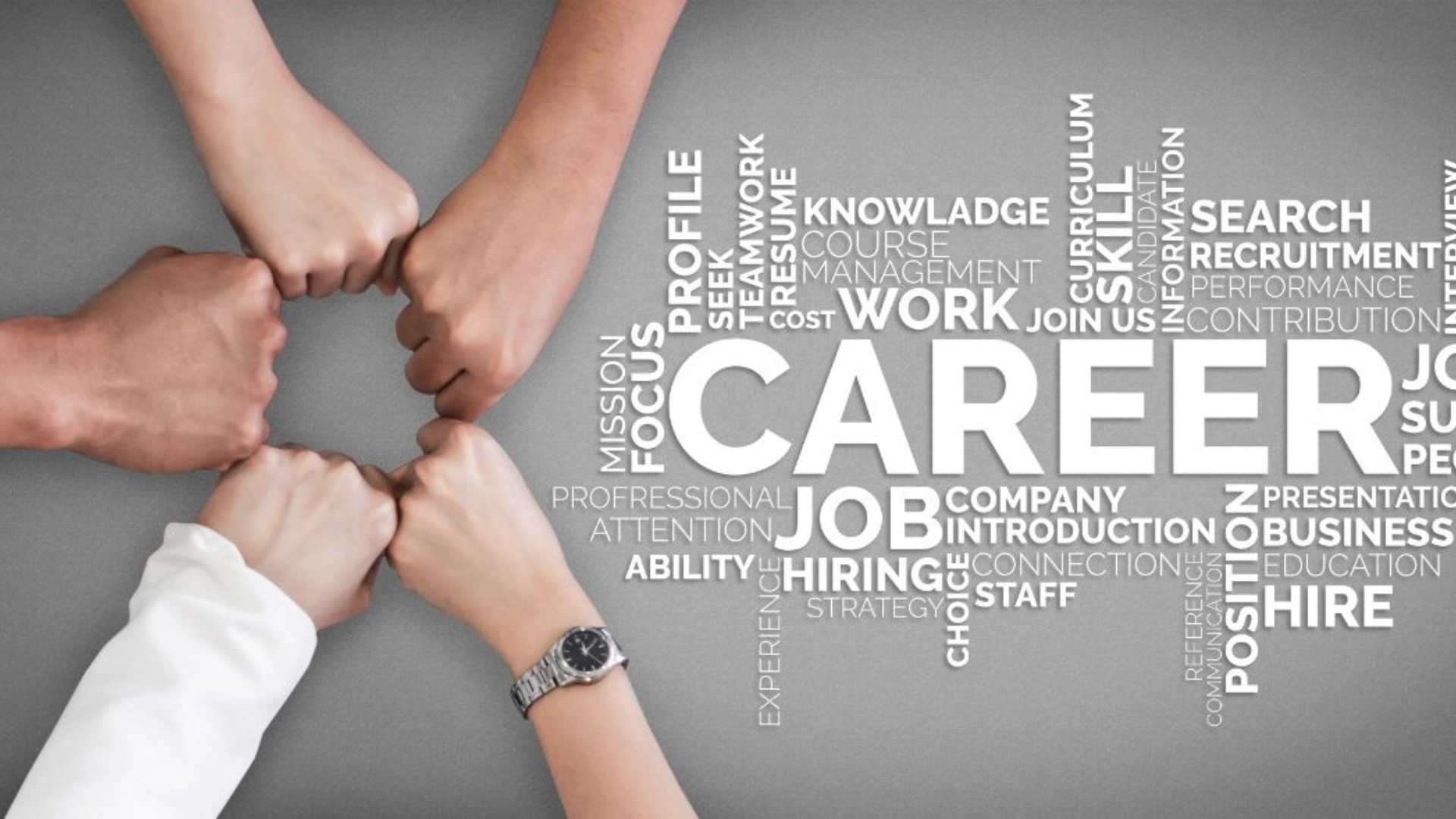 Careers – Noah Therapeutics